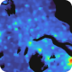 Visualization