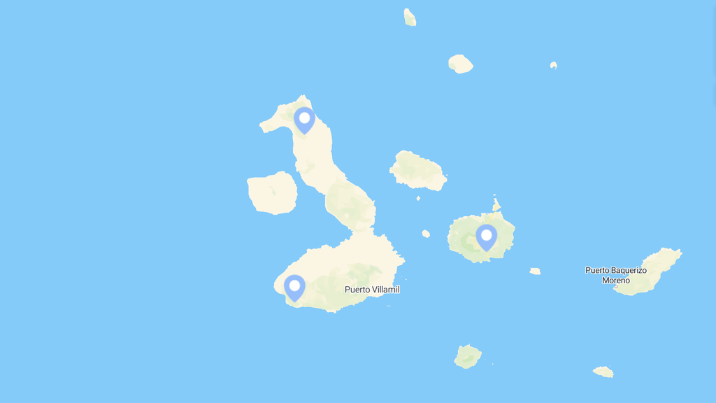 Center The Map On A Clicked Symbol Javascript Maps Sdk Maplibre Gl Js Maptiler