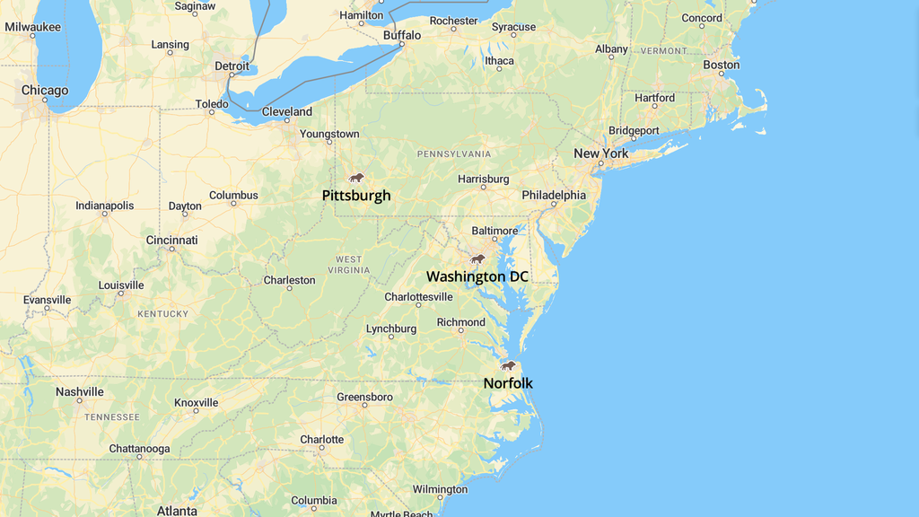Use A Fallback Image Javascript Maps Sdk Maplibre Gl Js Maptiler